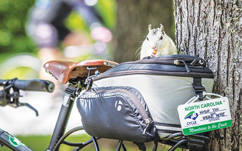 11th annual Cycle NC Mountain Ride coming | Cherokee Scout, Murphy ...
