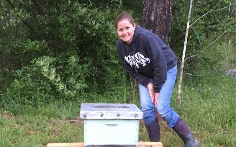 Sweet hobby, sweet treat, sweet reward in beekeeping | Cherokee Scout ...